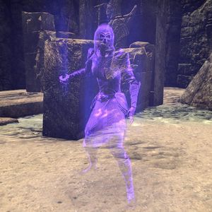 Online:Yokudan Warrior - UESP Wiki - The Unofficial Elder Scrolls Pages