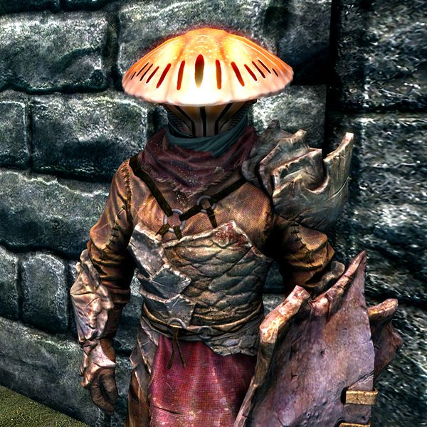 Skyrim:Chitin - The Unofficial Elder Scrolls Pages (UESP) Skyrim:Chitin - The Unofficial Elder Scrolls Pages (UESP)